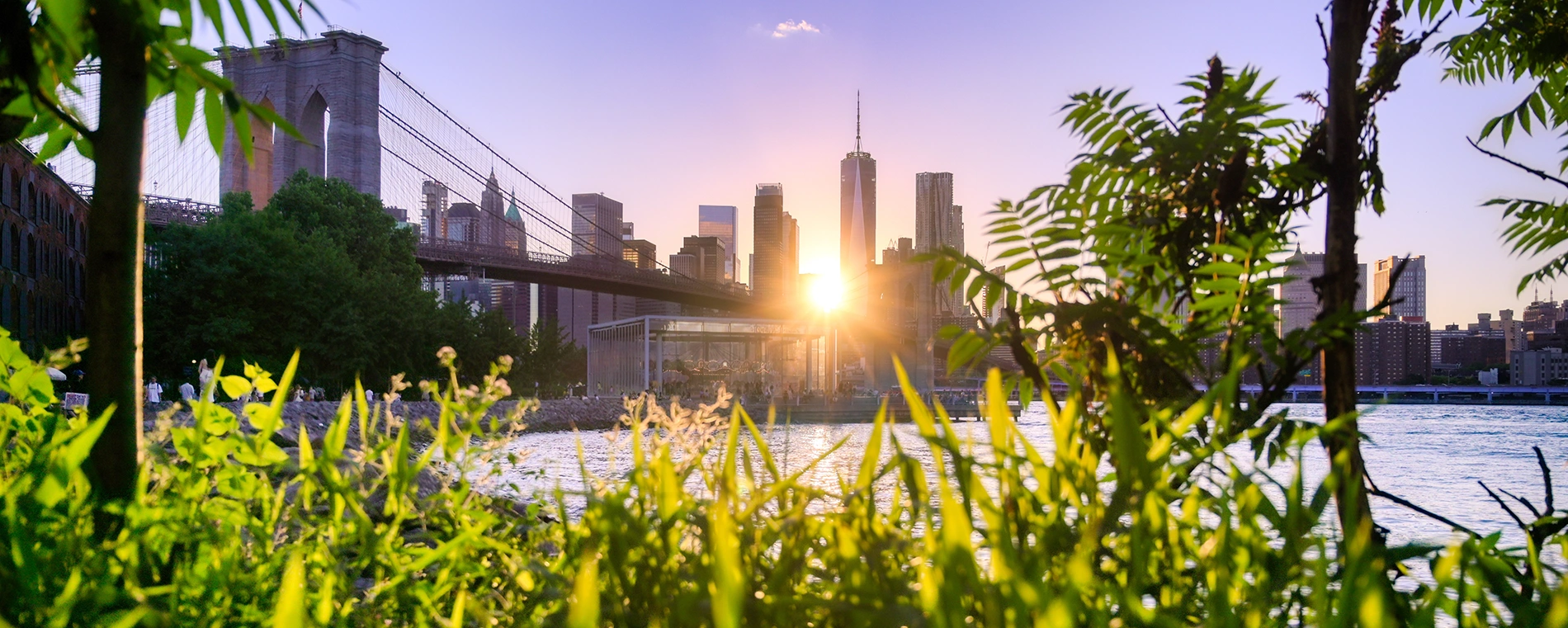 Our Location | Elevate Point